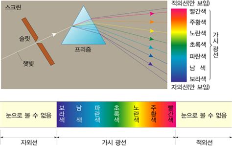 금성출판사 티칭백과