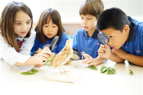 协和教育官网 协和双语学校