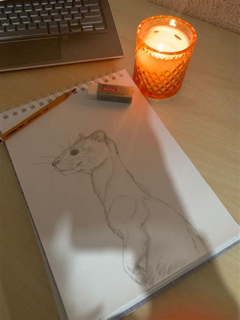 Рисунок карандашом ласка и животные скетчи