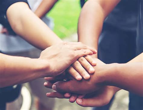 Bobolink Spiritual Meaning Power Of Creative Expression Bobolink Spiritual Meaning Power Of Creative Expression