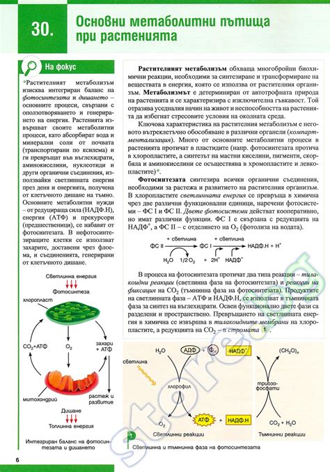 Биология 11 клас ПП модул 2 теми 3 и 4 Педагог 6 Store Bg