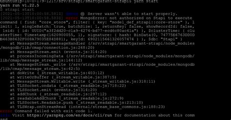 Strapis Roles On Mongo Atlas Full Cluster Access Database Mongodb Strapi Community Forum