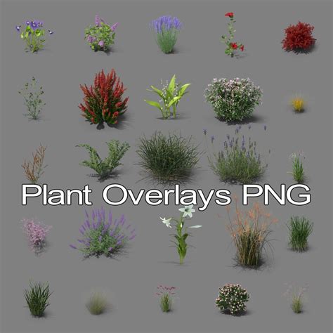 Plant Overlays Tree Overlays Flower Overlays Grass Overlays