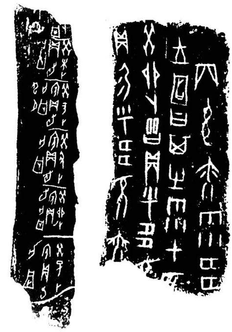 書法集萃甲骨文金文 每日頭條