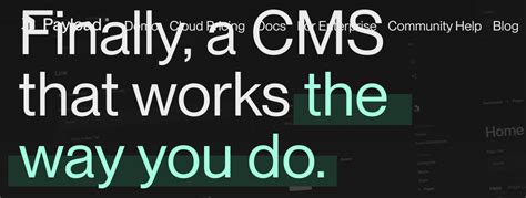 Elements In Navbar Are Invisible Issue 193 Payloadcms Website GitHub