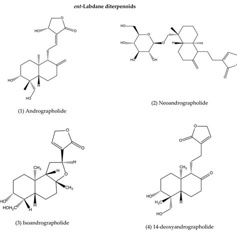 Andrographis Paniculata And Its Different Parts A Aerial Part B Download Scientific