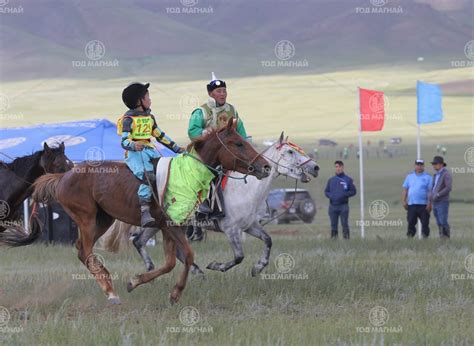 Хангайн бүсийн уралдааны сонгомол дунд насанд эхний 10 т хурдалсан хүлгүүд