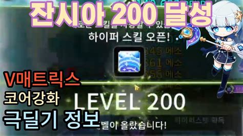시아 V매트릭스 극딜기 코어강화 정보 ＞메이플m Youtube