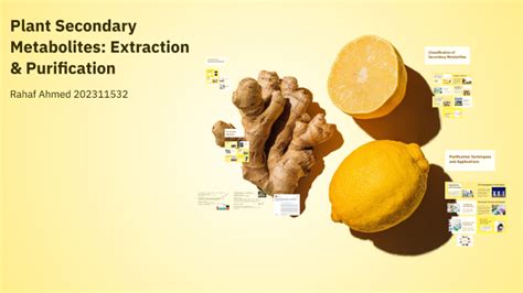 Plant Secondary Metabolites Extraction And Purification By Rahaf Aly On