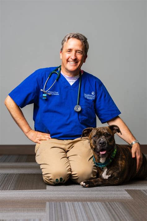 Bluepearl Pet Hospital Tacoma Lakewood Wa Our Vets