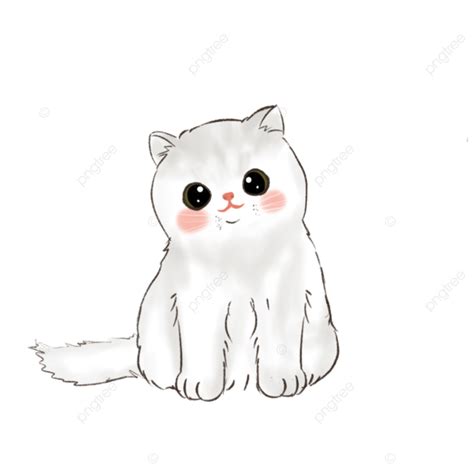 手繪可愛小貓插畫 手繪動物 猫咪插畫 卡通小貓素材圖案PSD和PNG圖片免費下載