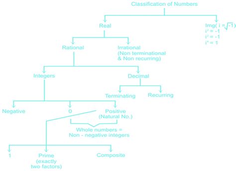 Understand The Classification Of Numbers For Wbcs Prelims Exam
