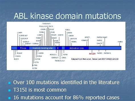 The Introduction Of Abl Kinase Domain Mutation Testing