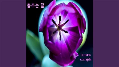 디스코 나이트 Youtube