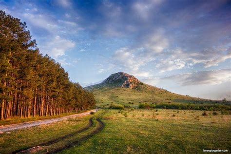 ვაშლოვანი საქართველო
