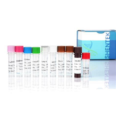 Shentek Reverse Transcriptase Assay Kit