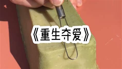 《重生夺爱》我重生了小说 故事 小说推荐 Youtube