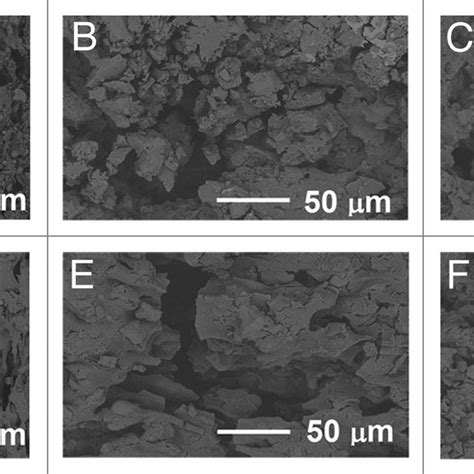 Sem Micrographs Of The Composites Of Polyl Lactide Co ε Caprolactone Download Scientific