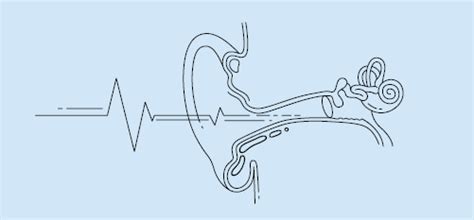 귀가 멍하고 소리가 잘 들리지 않아요 난청인가요 네이버 블로그