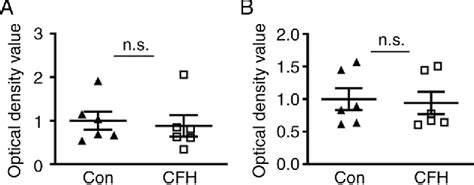 Figure 2 From Complement Factor H Inhibits Endothelial Cell Migration