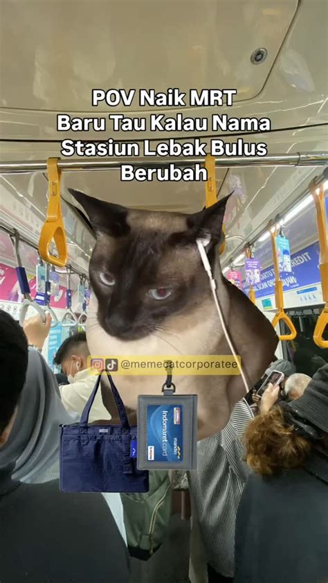 Meme Cat Corporate Memecatcorporatee • Instagram Photos And Videos