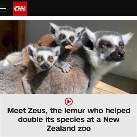 Zeus Has Sex R Ihavesex