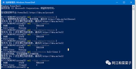 基于 wsl2 部署 kali win kex 知乎