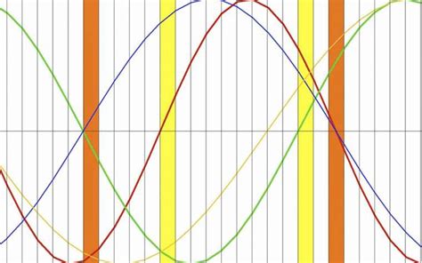 What Is Biorhythm Compatibility Meaning And Explanation