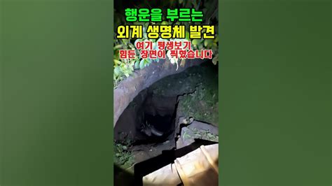 행운을 부르는 외계 생명체 발견 Youtube