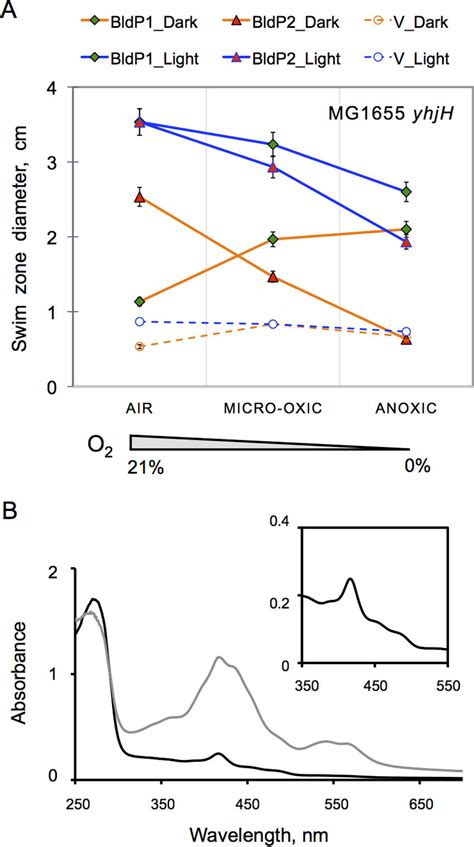 A Characterization Of The Light And Oxygen Dependent Activities Of Download Scientific