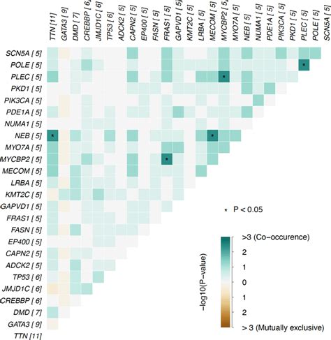 Somatic Interaction Analysis Of The 30 Most Mutated Genes In The Breast