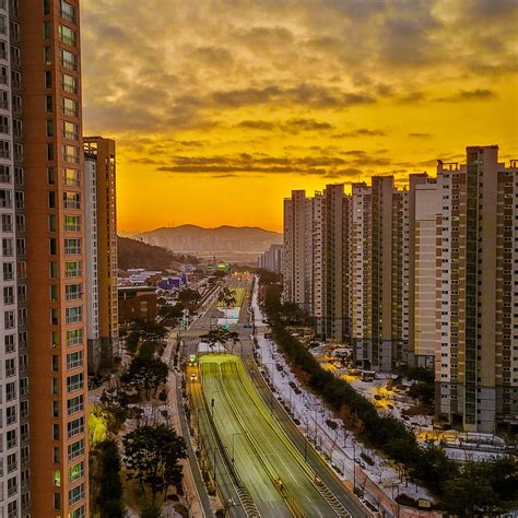 봄비 아침 노을 쓱싹쓱싹 청소부의 빗자루 소리 졸린 눈을 부릅뜨며 어딘가로 향하는 도로 위