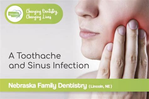 Toothache Sinus Infection And Discomfort Can Be Related Lfd