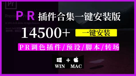 中文汉化 Aepr插件rsmb动态运动模糊效果 Reelsmart Motion Blur 641 Win 学驰资源