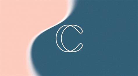 Covariant Brand Identity Brand Identity Identity Branding Design