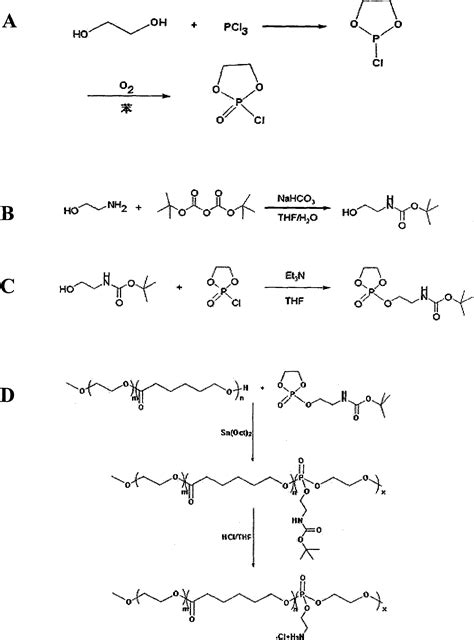 Polyethylene Glycol Monomethyl Ether Polycaprolactone Polyphosphate Triblock Copolymer And Sirna
