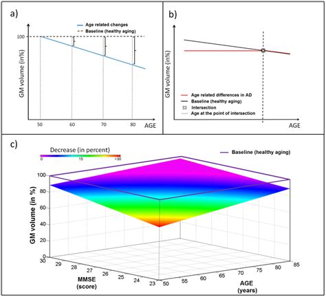 Schematic Representation Of Voxel Wise Age And Symptom Severity
