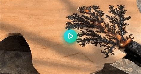 Ye Haw Album On Imgur