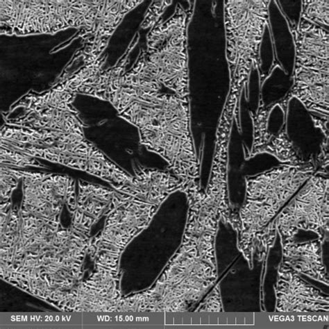 Microstructure Of Steel Aisi 4340 After Heat Treatments Sq3 A And Sq4 Download Scientific
