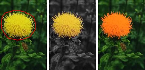 figure 11 from poisson image editing semantic scholar