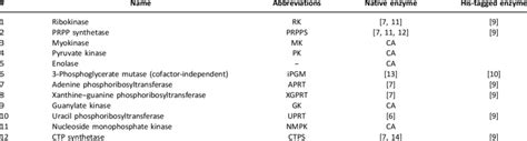 Enzymes Used For Ntp Synthesis Download Scientific Diagram