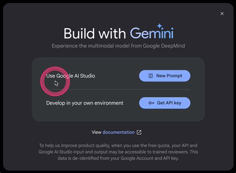 免费的 Gemini Pro Api 用法大全 「智图派」