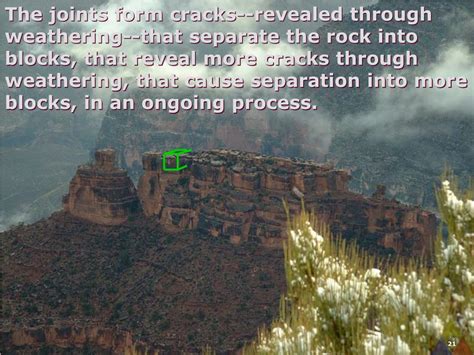 Ppt Natural Fractals Powerpoint Presentation Free Download Id3599273