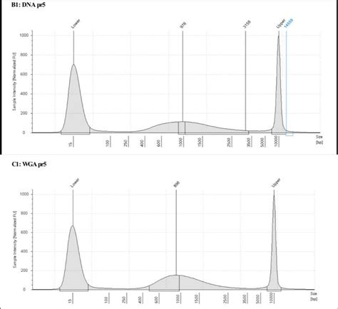 5 2 Tape Station Electropherogram Report For Unmanipulated Dna Top Download Scientific Diagram