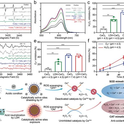 Enhanced Ros Scavenging Via Acid Neutralization By Ldh‐ceo2 A Esr Download Scientific Diagram
