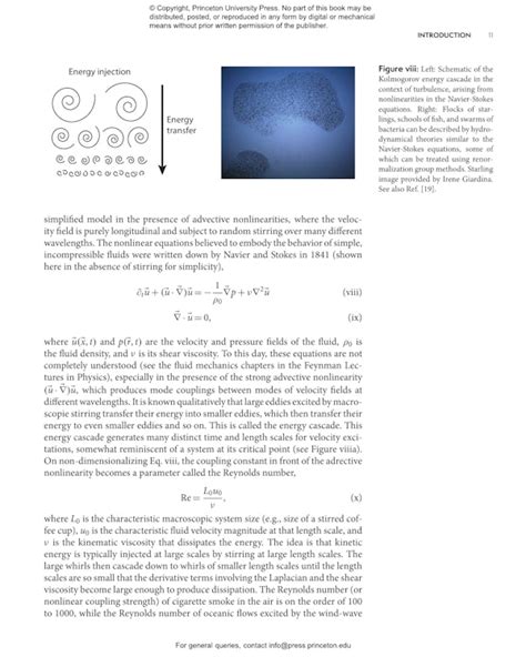The Renormalization Group And Condensed Matter Physics Princeton University Press