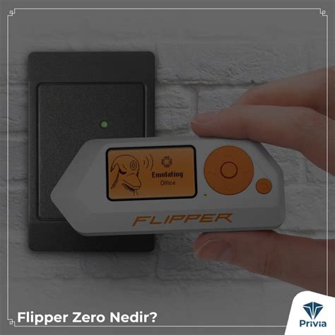 Flipperzero Sibergüvenlik Privia Security