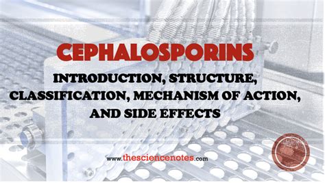 Cephalosporin Structure Archives The Science Notes
