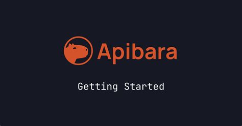 Getting Started Apibara Documentation