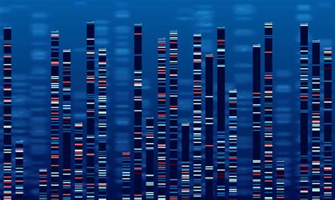 Complete Guide To Genomics Data Storage WEKA